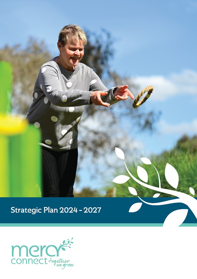 Strategic Direction - Mercy Connect